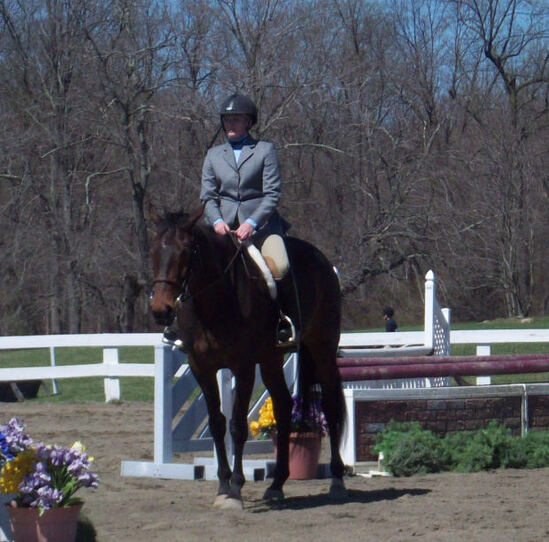 How to Build the Perfect Horse Show Schooling Ring