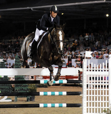 Luxury Equestrian Footing - GGT Footing