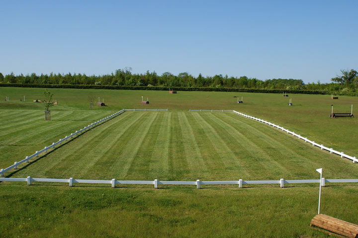 Grass Arenas...The pros and cons