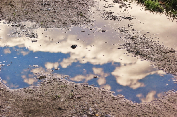 Horse Arena Drainage 101