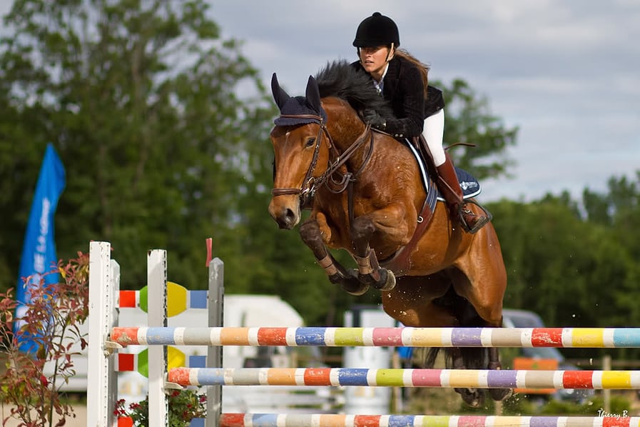 Riding Arena Footing for Jumping